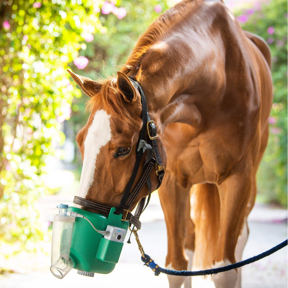 Flexineb Nebulizer - Authorized Dealer – SilverVet
